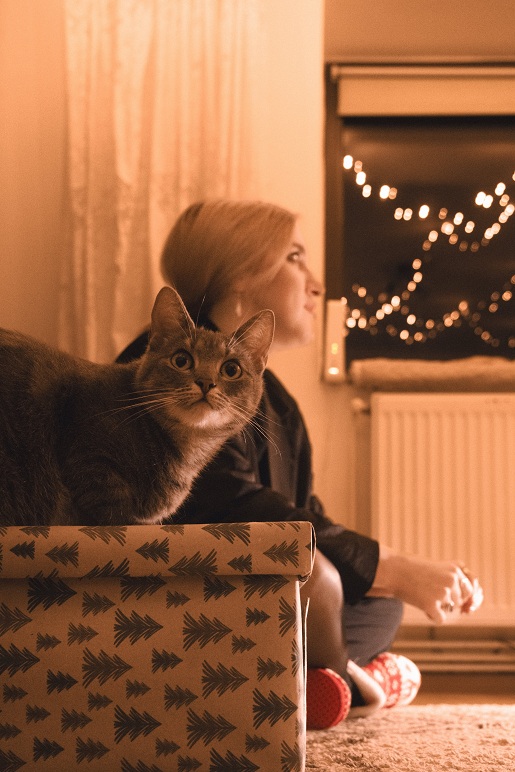 What Skills Do You Need For Pet Sitting - Pets Care Lovers